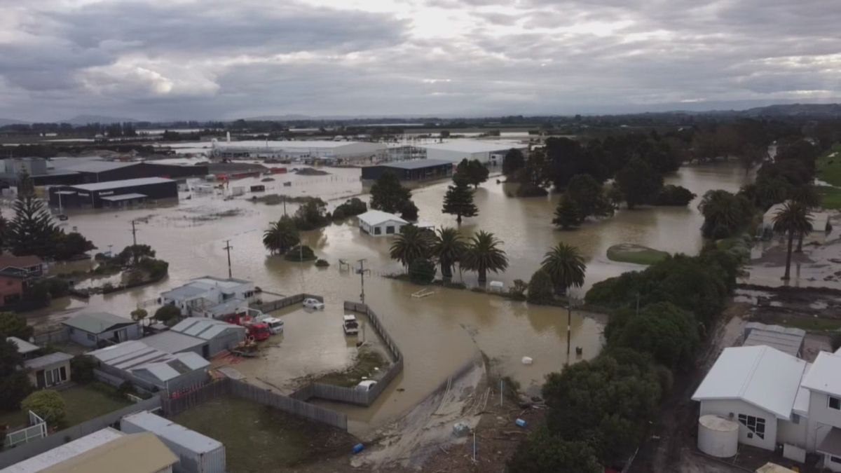 Can Better Housing Laws Protect Us from Future Natural Disasters ...